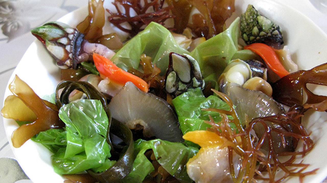 Receta de 'Sunomono', la ensalada japonesa de Cocina con Albert Rauric ...