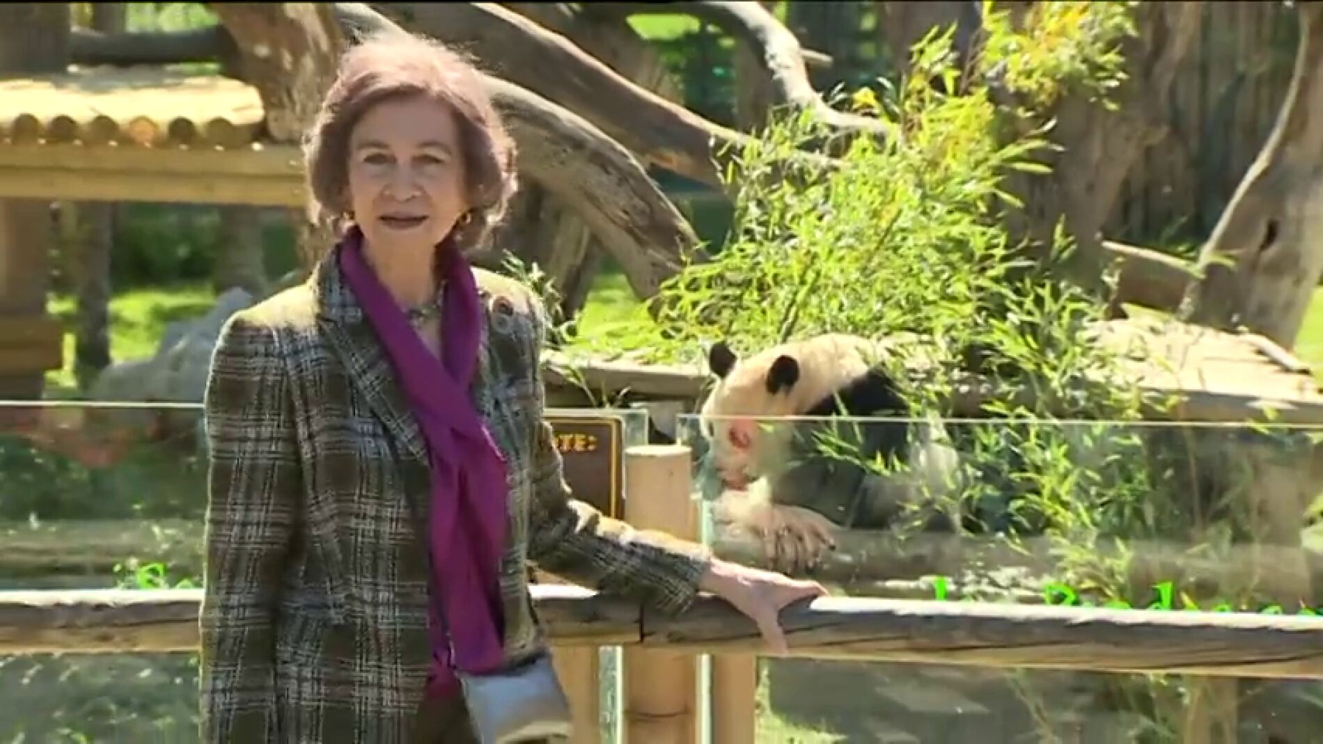 La Reina Doña Sofía visita este lunes el Banco de Alimentos de Plasencia | Onda Cero Radio