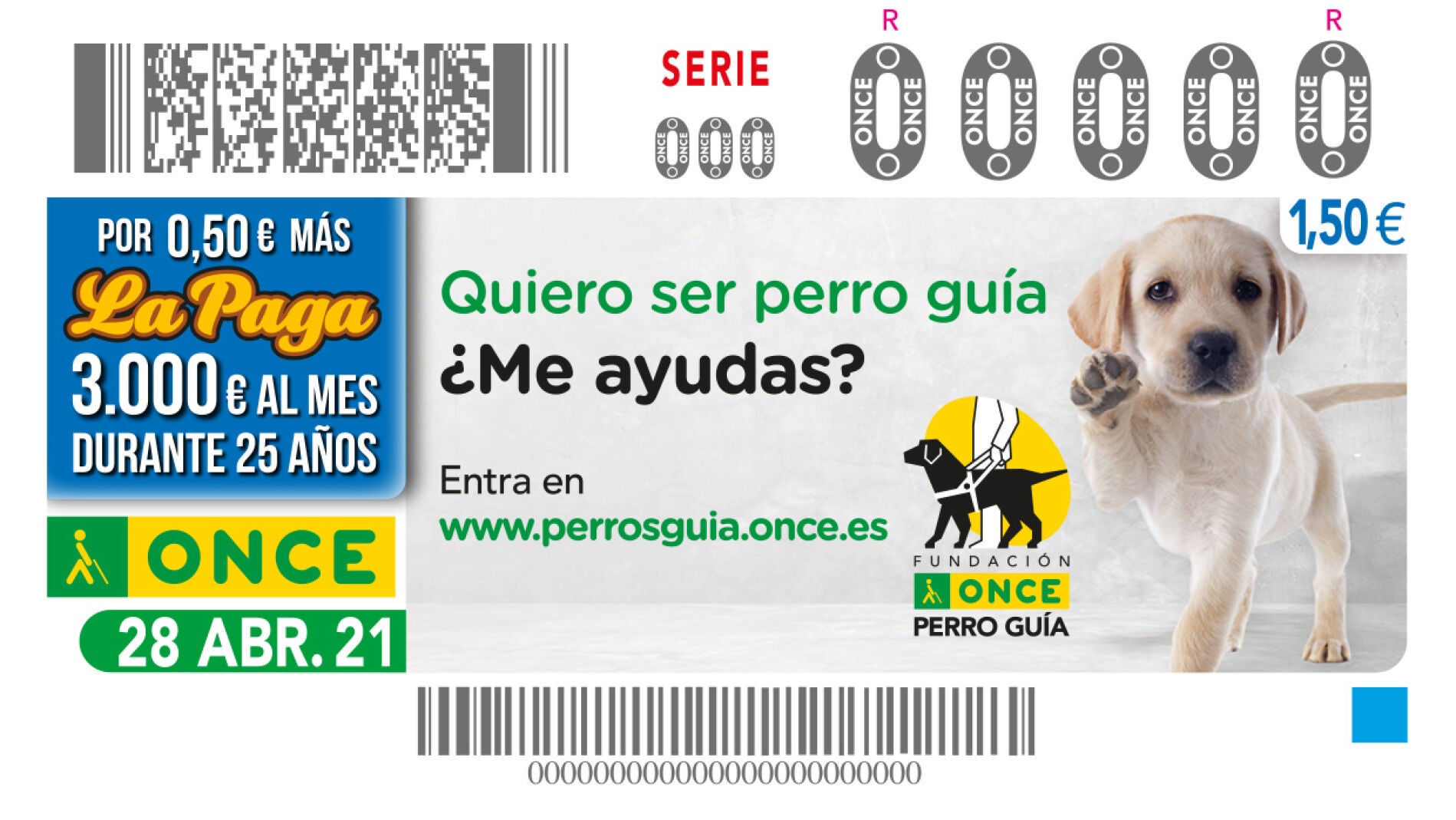 La provincia recibe un nuevo perro guía en su Día Internacional gracias ...