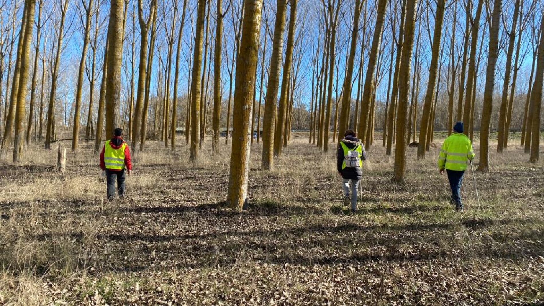 Ángel Miguel: "La familia puede estar tranquila ya que la búsqueda de ...