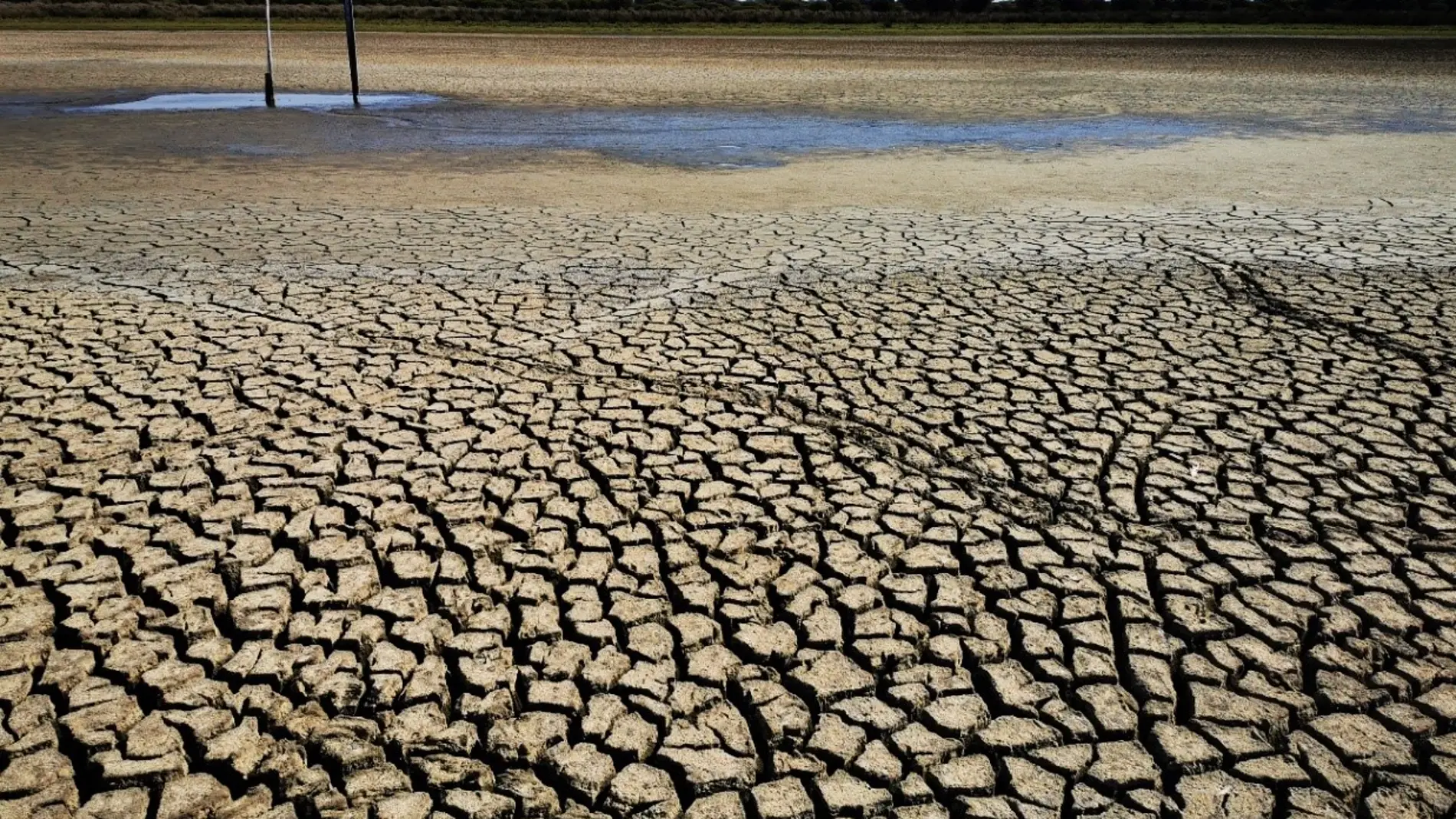 Fenómeno De El Niño Conoce Las Consecuencias Que Traerá Este 2023 Y