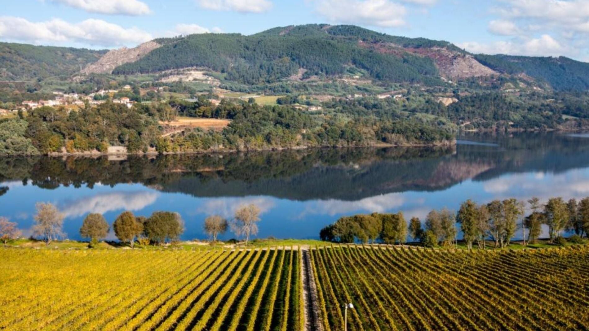 O Xeodestino Ribeiro – Carballiño presentouse na Casa de Madrid | Onda Cero Radio