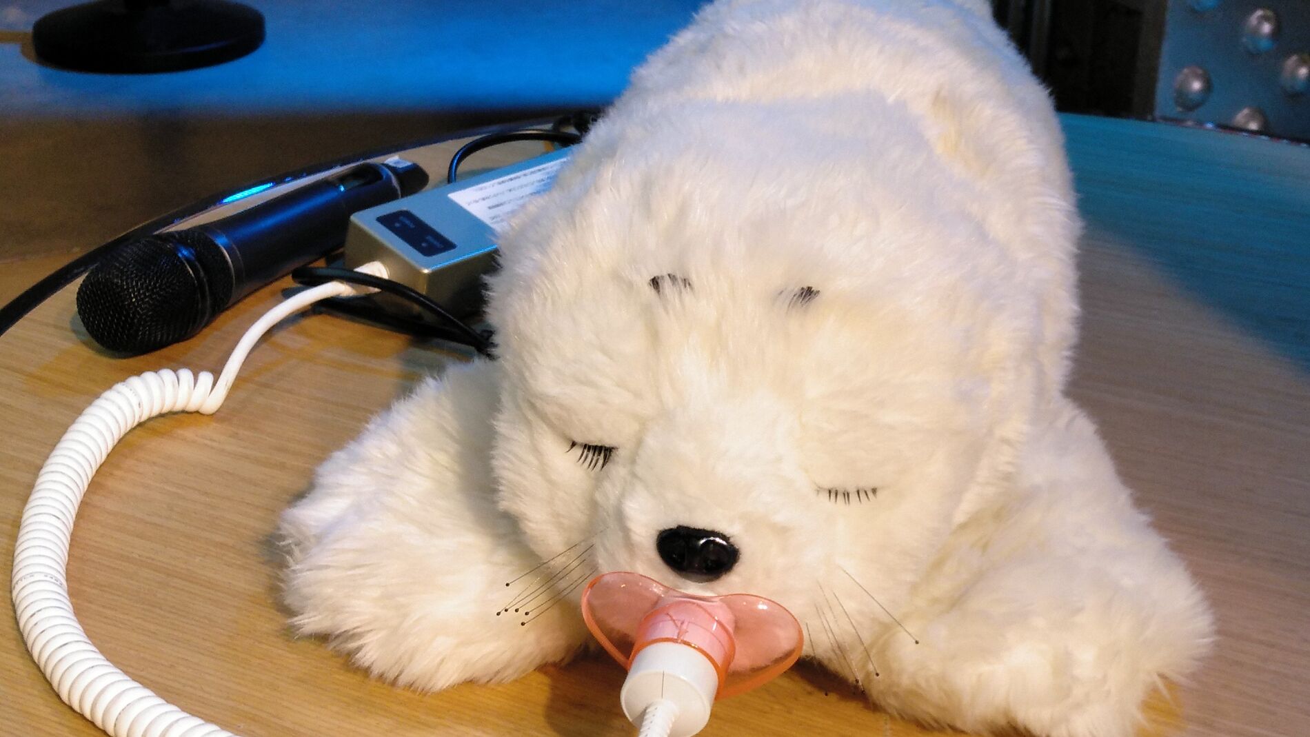 Un robot foca podría aliviar la depresión en los pacientes con demencia ...