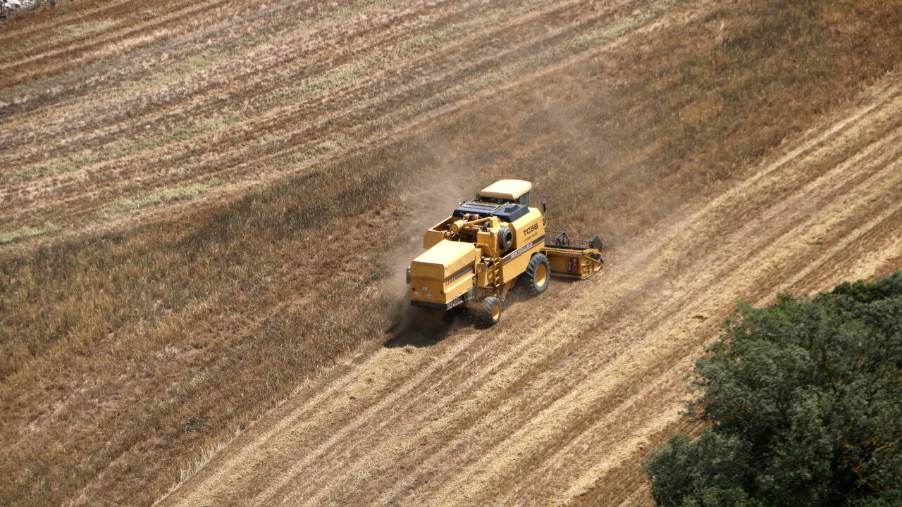 La sequera ha fet caure un 70% la collita de cereal a Catalunya | Onda ...