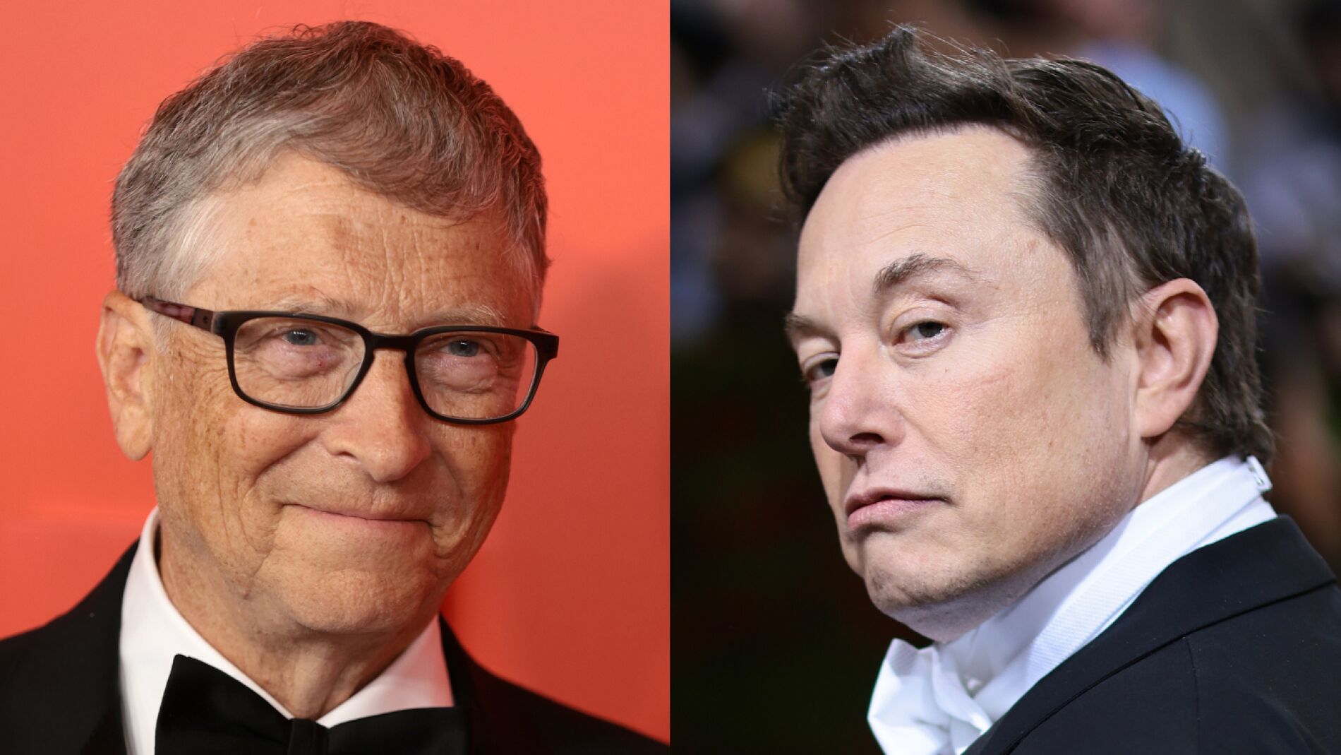 Se desvela el motivo por el que Bill Gates y Elon Musk tienen una mala ...