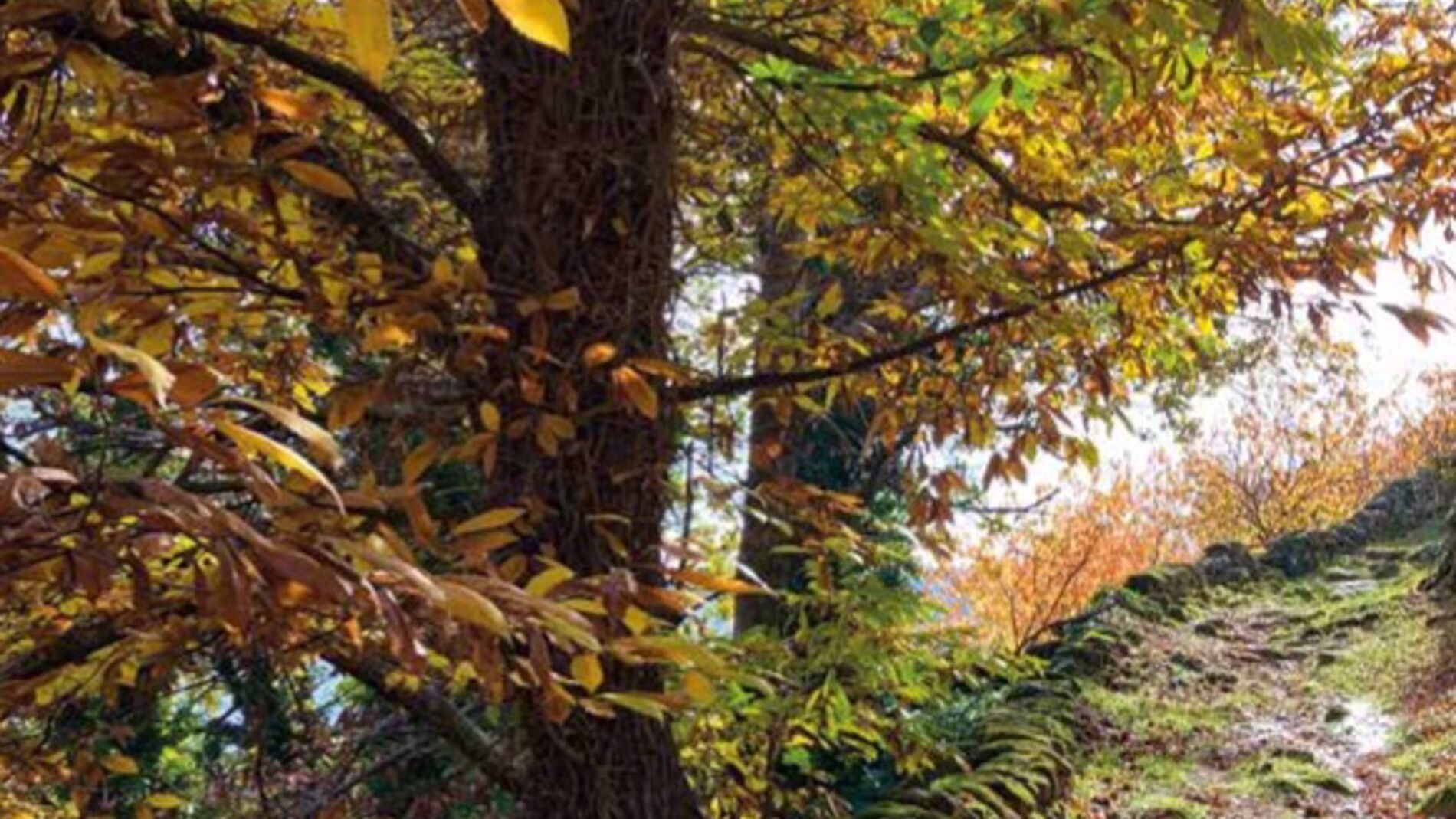 Cicytex, productores y la UEx unen experiencias para elaborar un manual de buenas prácticas en ...