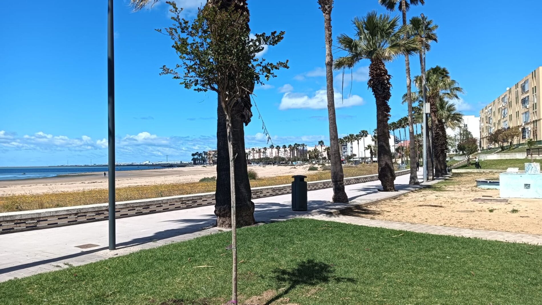 El Ayuntamiento de Puerto Real realiza trabajos de 'renaturalización ...