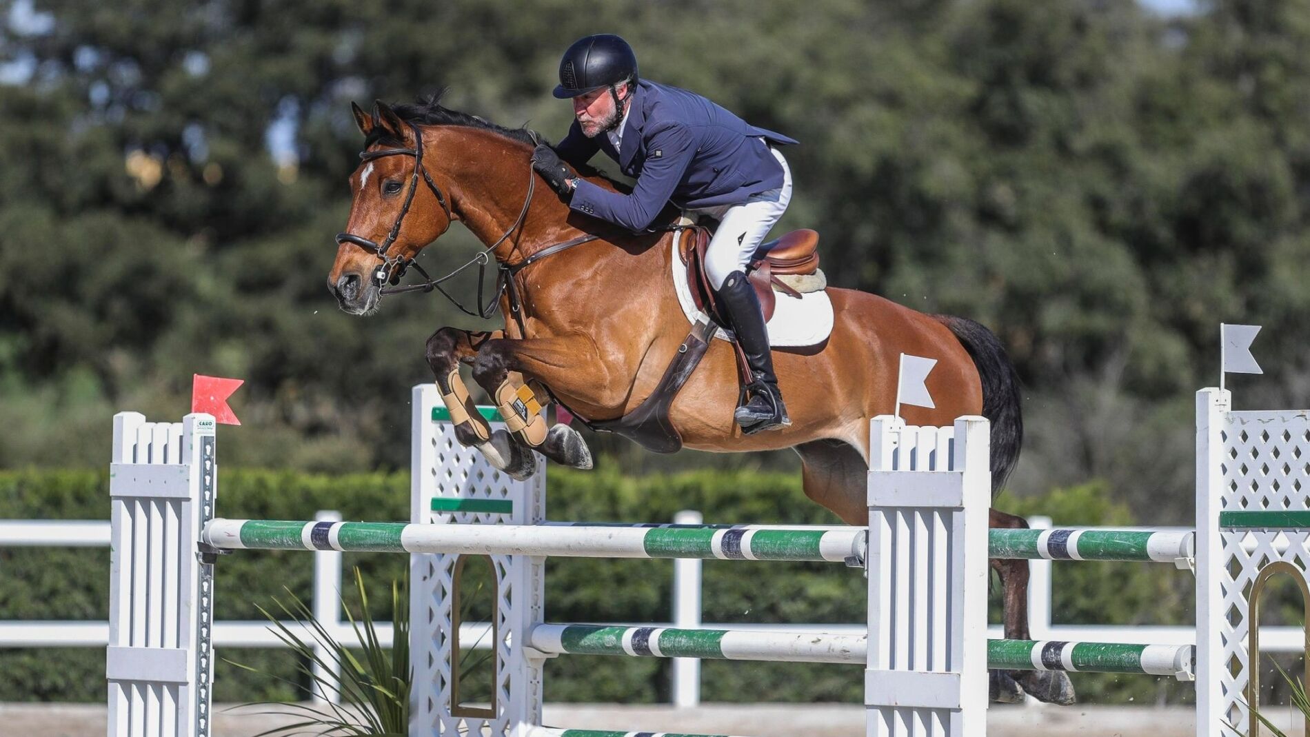 "El gobierno tiene que cambiar la Ley del Deporte porque fomenta ...