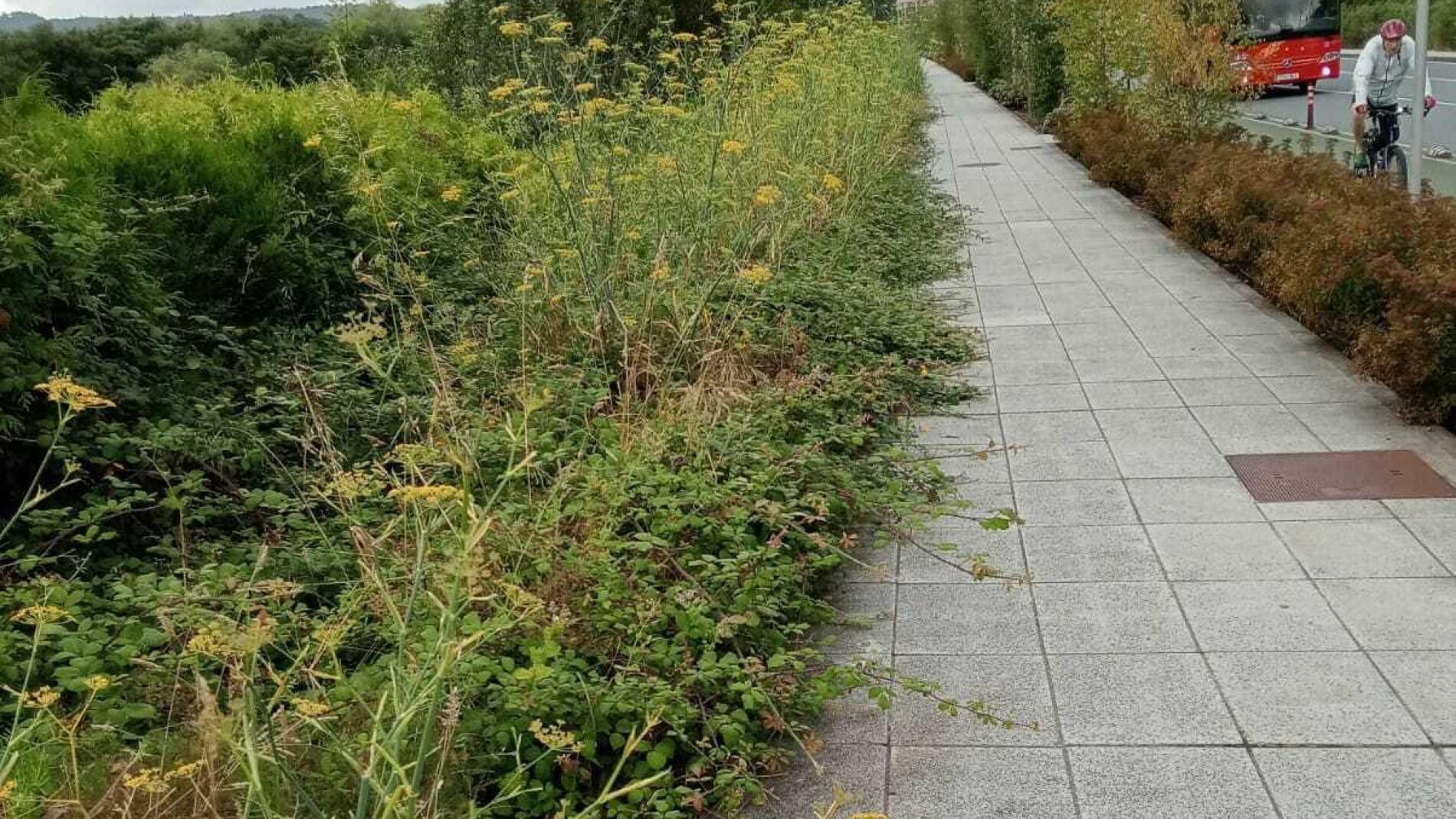 El concello de Santiago achaca al cambio climático y la "humedad" de ...