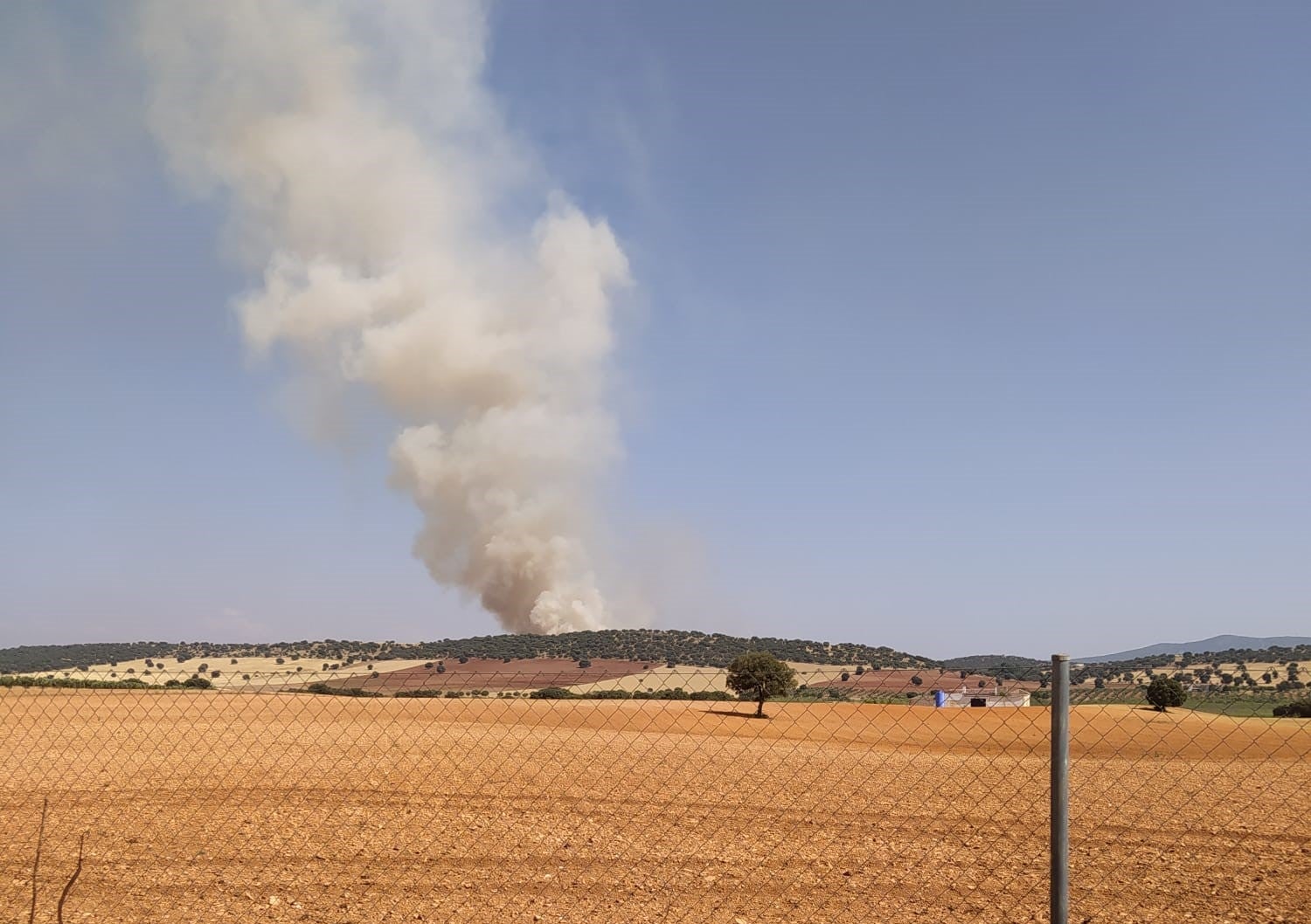Incendio en un área agrícola entre Torre de Juan Abad y Cózar - Más de ...