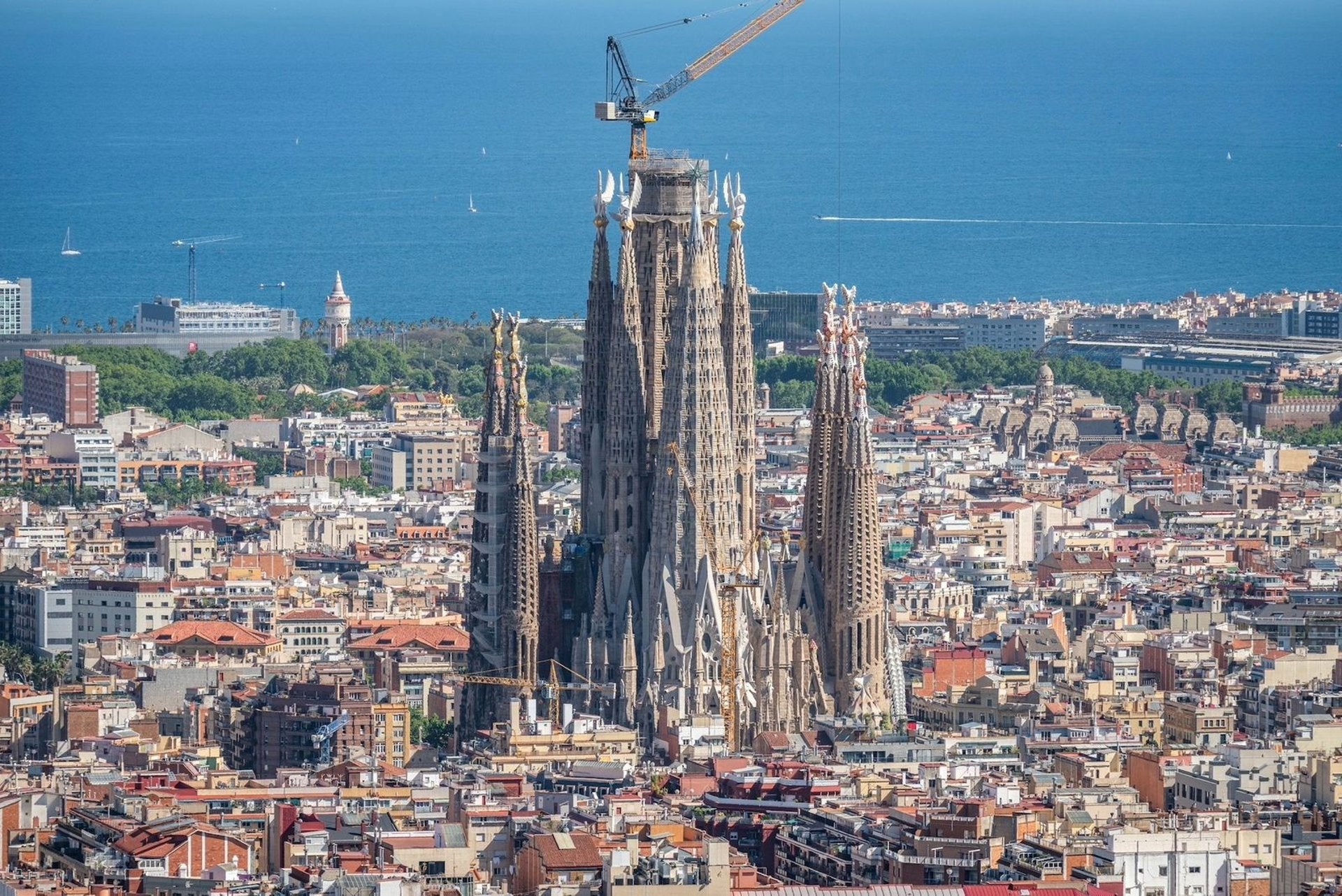 La Sagrada Família al cinema - Dia de l’espectador - La ciutat | Onda ...