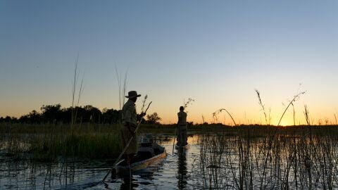 Safaris en mokoro en el Delta del Okavango: la experiencia más ...
