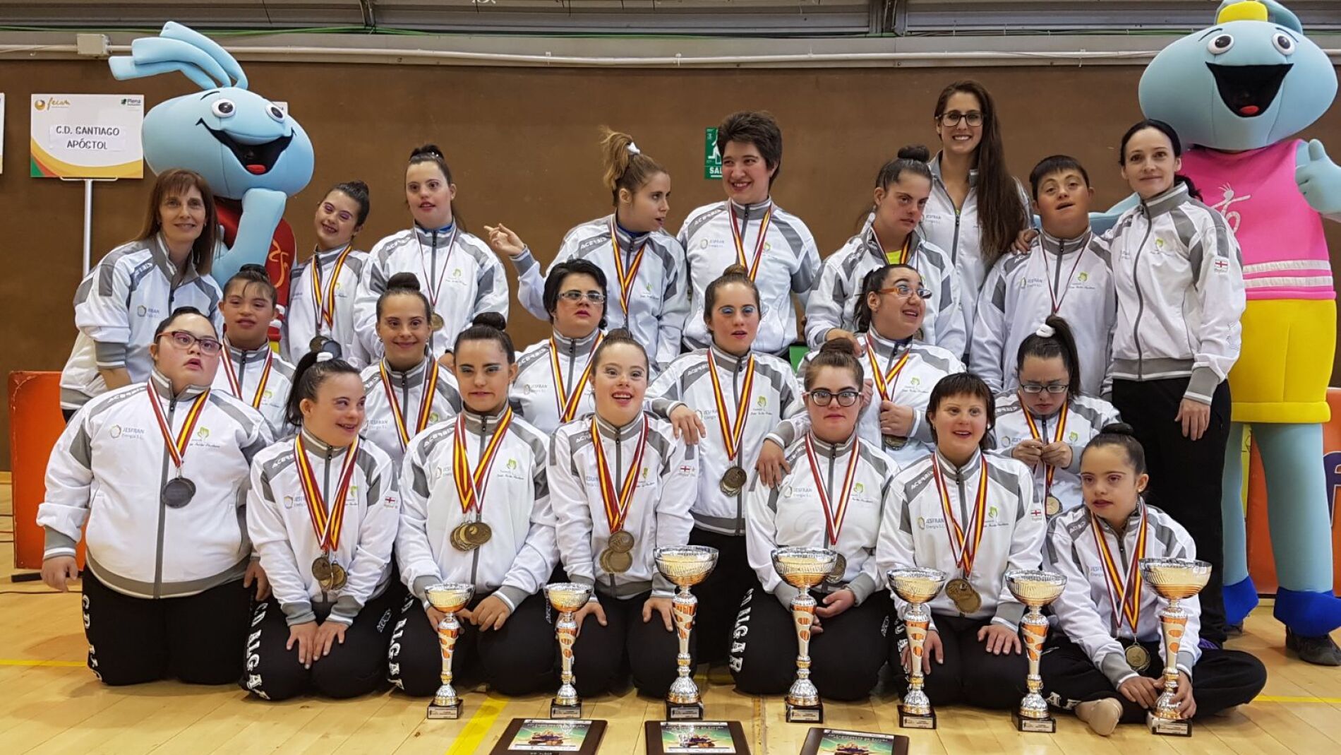 Elche acoge por primera vez una fase de la Liga Promesas de Gimnasia ...