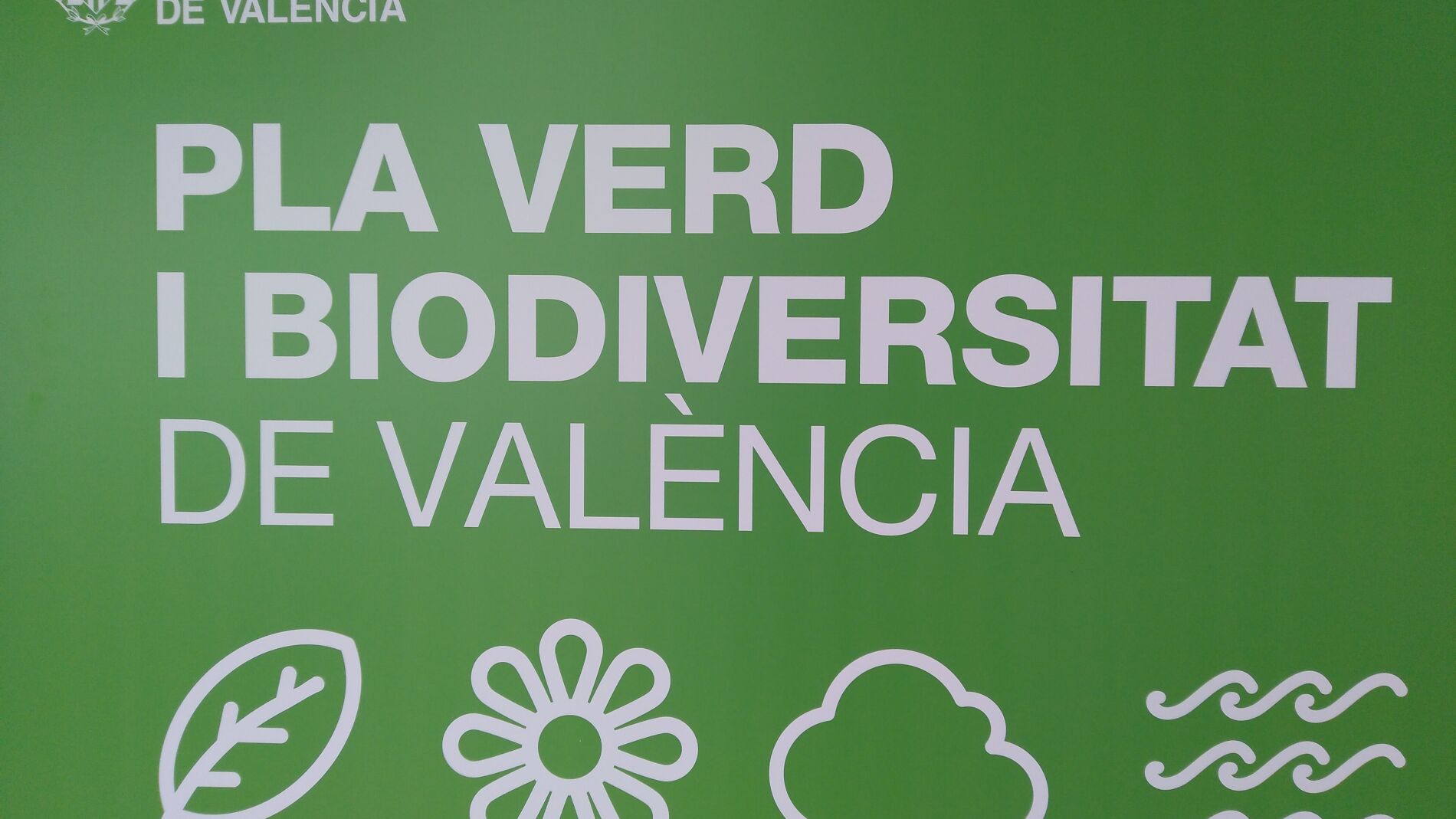 El Ayuntamiento anuncia la elaboración de un Plan Verde para paliar los ...