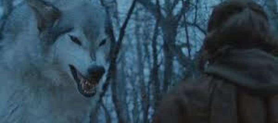 Así era realmente el lobo huargo de Juego de Tronos | Onda Cero Radio