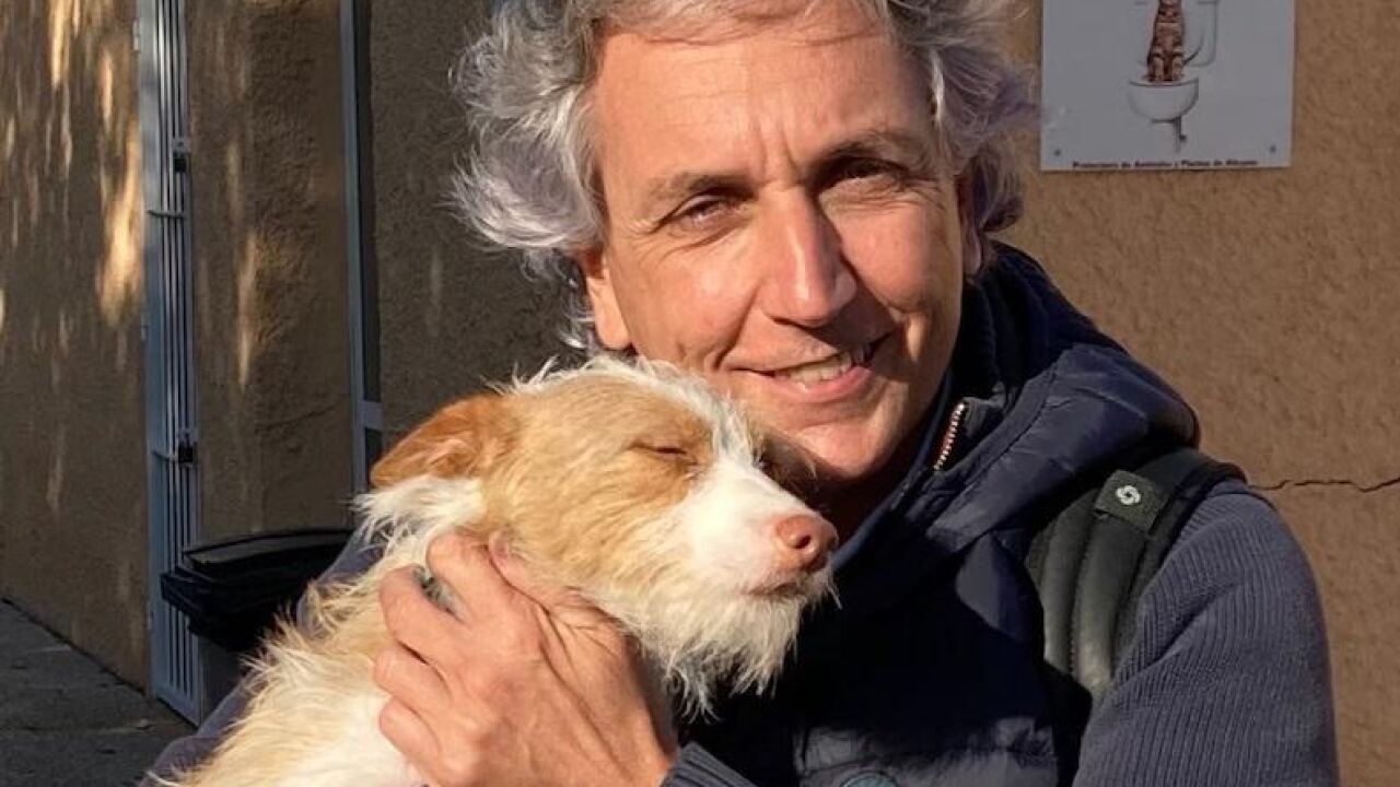Raúl Mérida asegura que educando a las mascotas se evitarían malos ...
