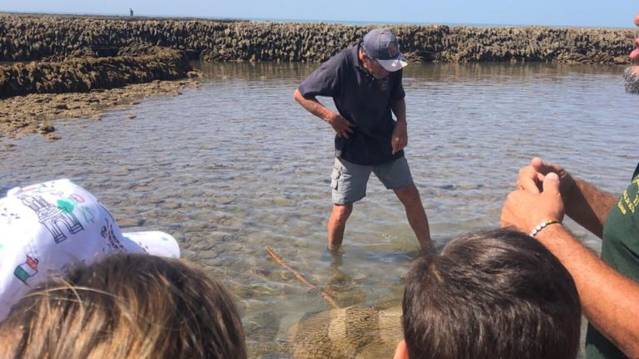 El tesoro de los Corrales de Rota: un arte milenario pesquero de la ...