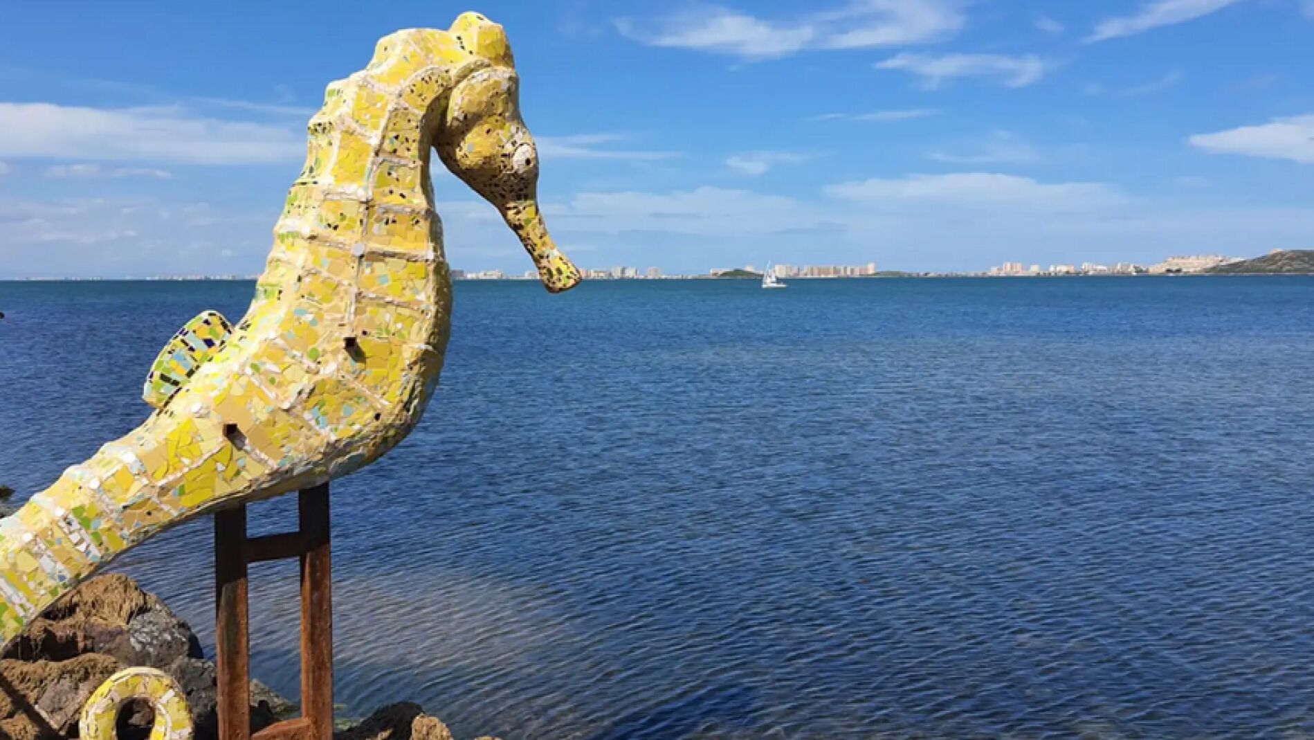 La CARM responde que "todos los artículos de la Ley del Mar Menor están en ejecución o en marcha ...