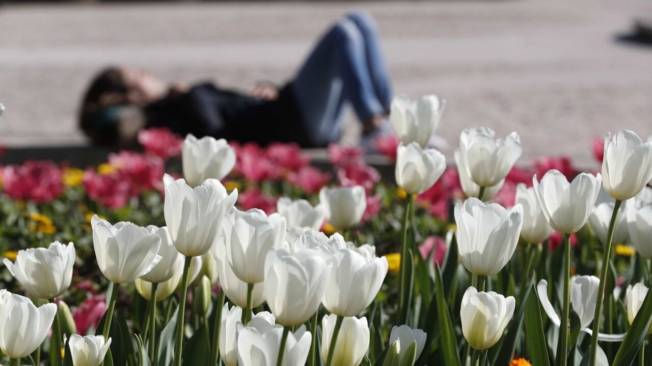 Primavera 2023: cuándo comienza, día y hora del equinoccio | Onda Cero ...