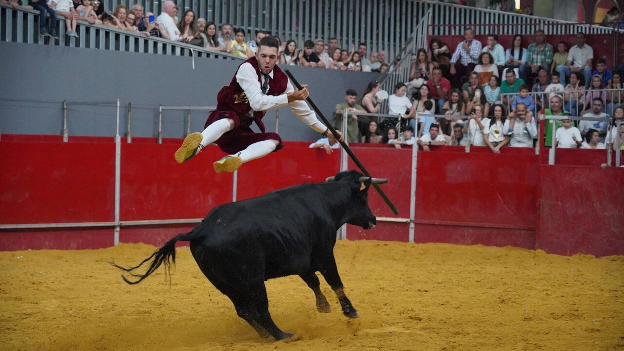 La Feria del Caballo y del Toro, Ecuextre, cierra este domingo en ...