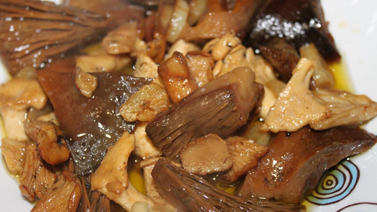 Descubre las más de 150 recetas con setas de Alicante y de la Comunidad ...