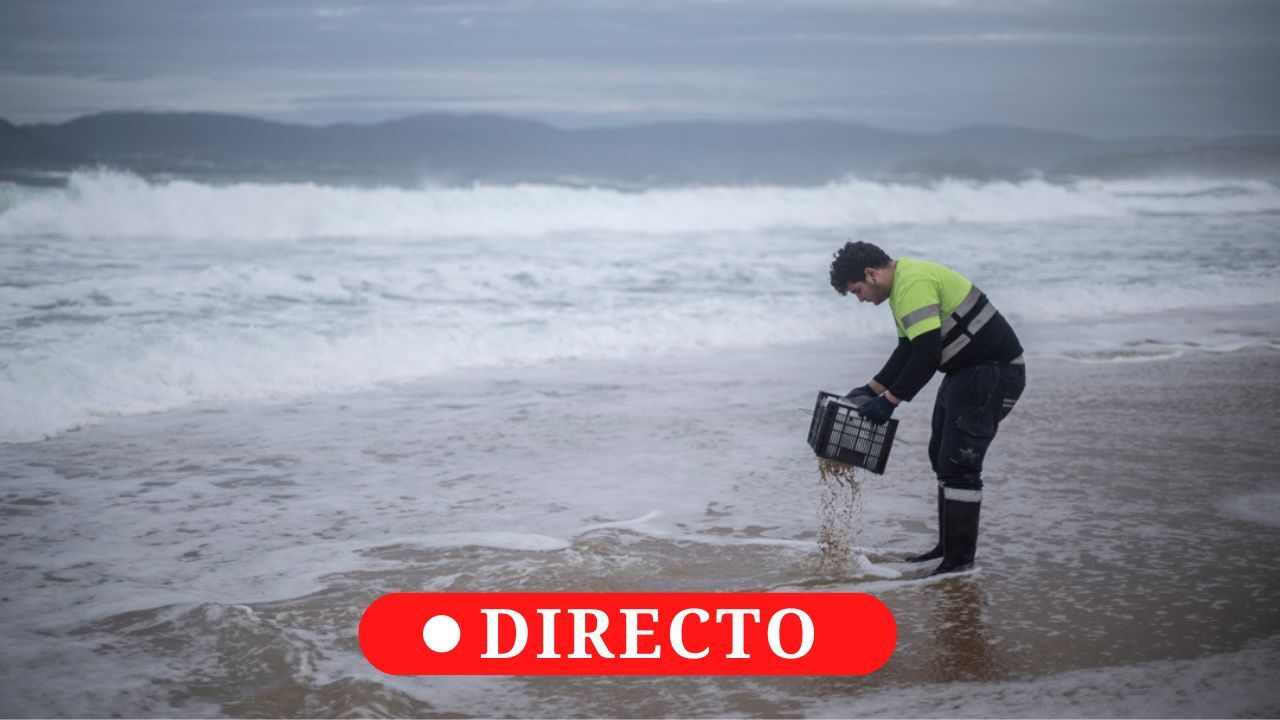 Vertido pellets de plástico en directo: últimas noticias en Galicia y ...