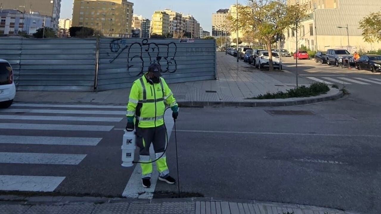 Alzira inicia los tratamientos contra el mosquito tigre en la zona del ...
