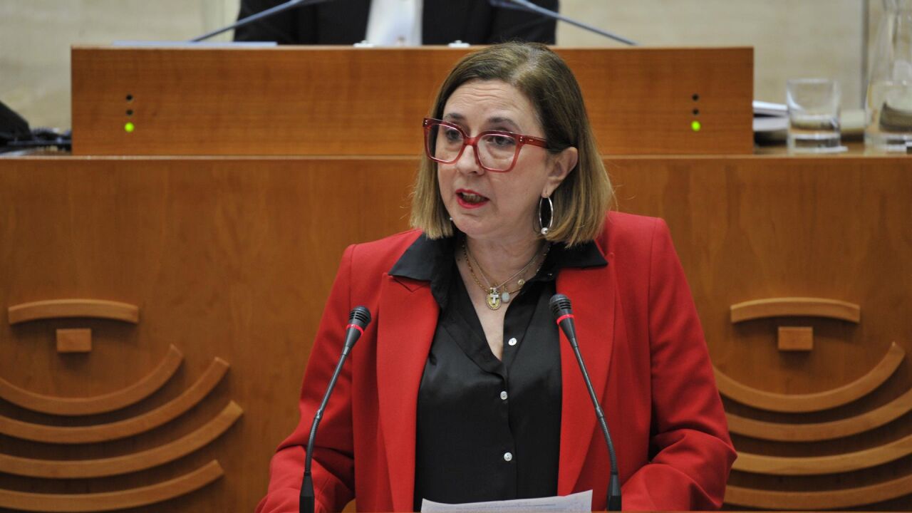 La Junta considera que la PAC va contra el "sentido común" y pide al ...