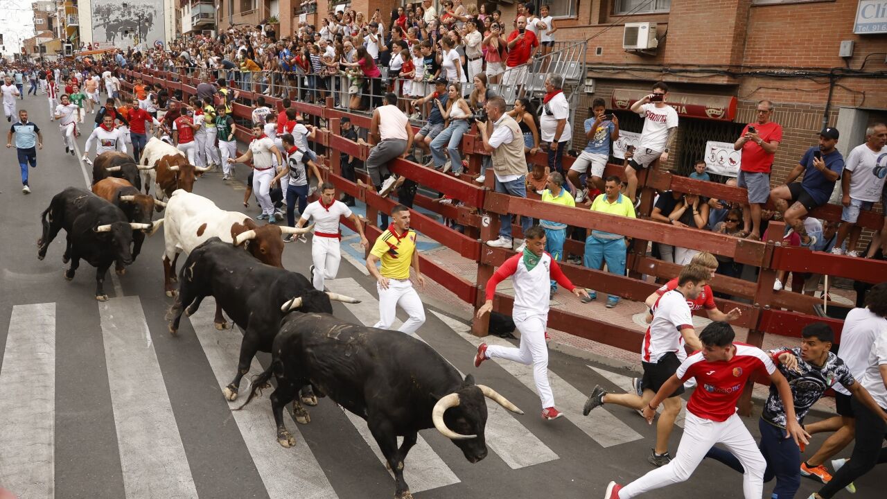 El primer encierro de San Sebastián de los Reyes deja más de 2.000 ...