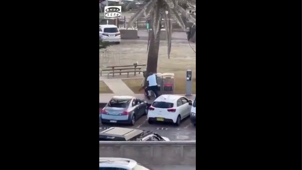 El vídeo del héroe de Bondi Beach: un hombre se abalanza contra un ...