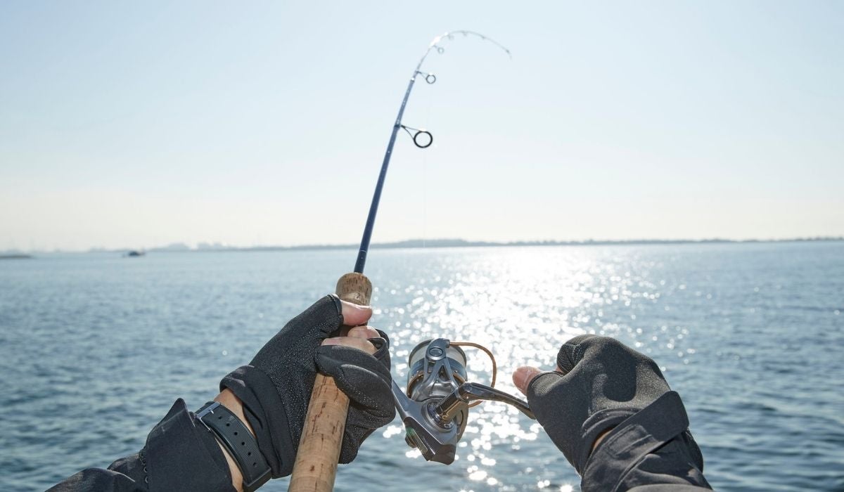 Pesca sostenible de bonito - Luz Verde Euskadi | Onda Cero Radio